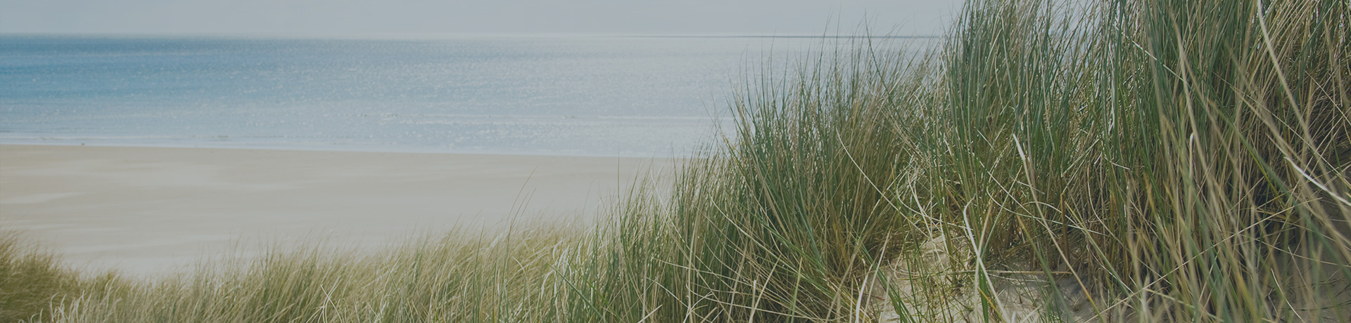 peppel - Peppelhoeve